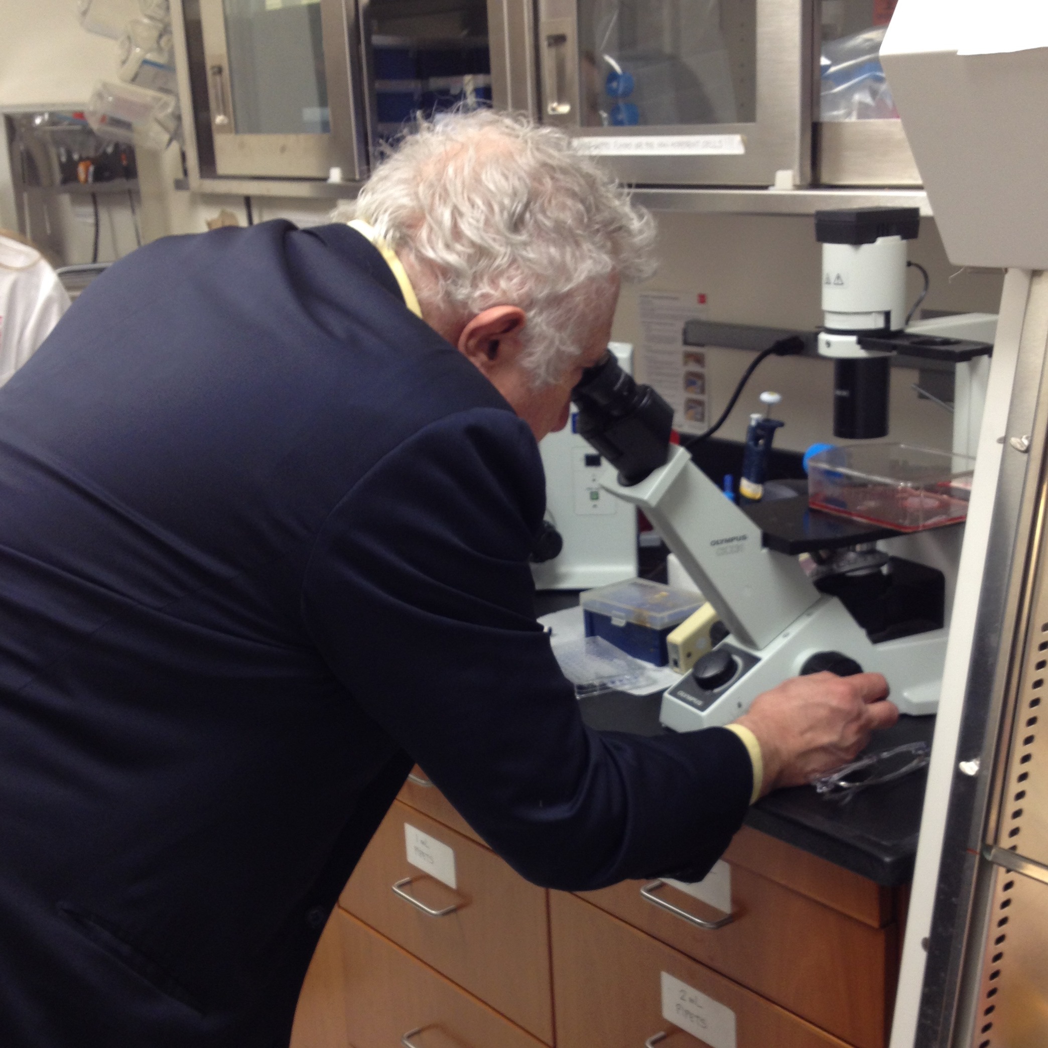 Randy Newman Examines CaSki Cells • The Kast Lab